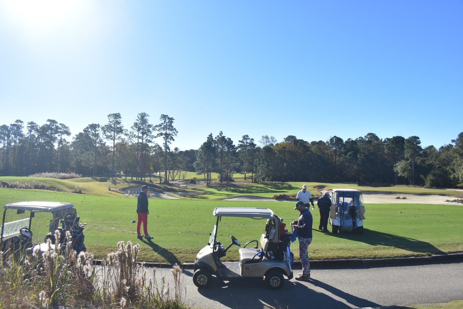 Home - True Blue Golf Club